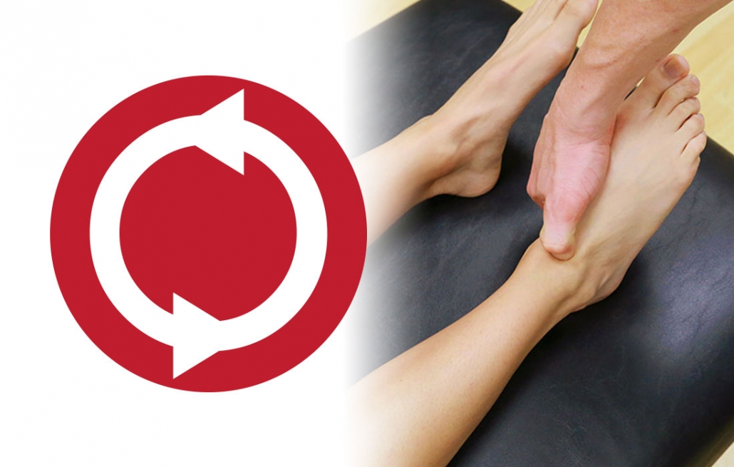 Continuum-FB | Fascial Distortion Model®