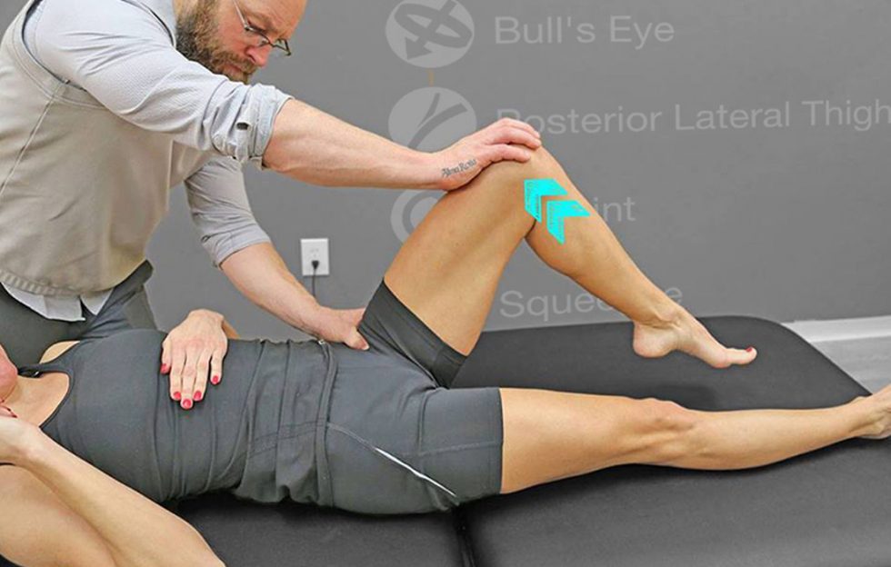 Fascial Distortion Model® | FDM - The Soft Tissue Framework for all ...