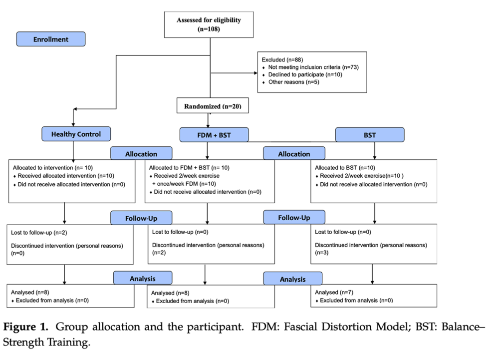 Investigating the Combined Effects of Fascial Distortion Model Manual ...