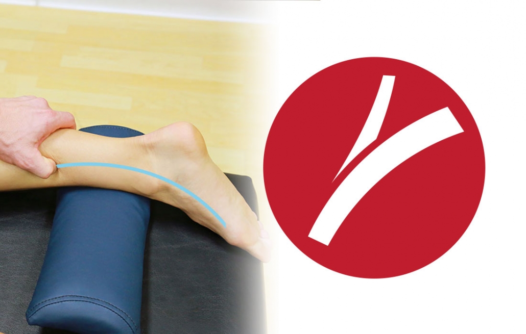 Triggerband-FB | Fascial Distortion Model®