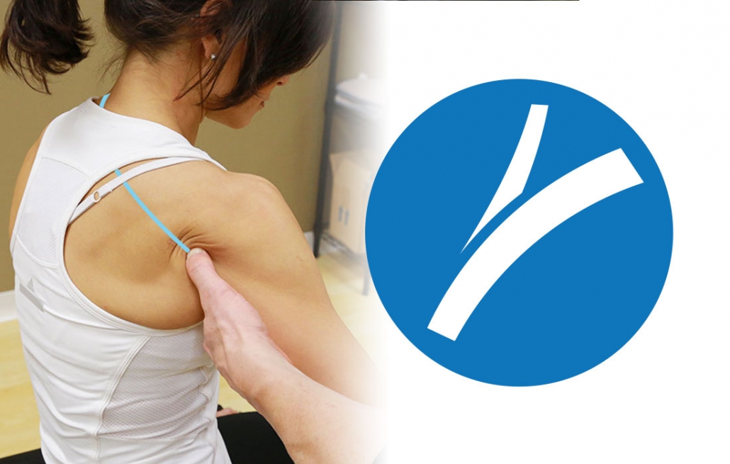 Triggerband-UR | Fascial Distortion Model®