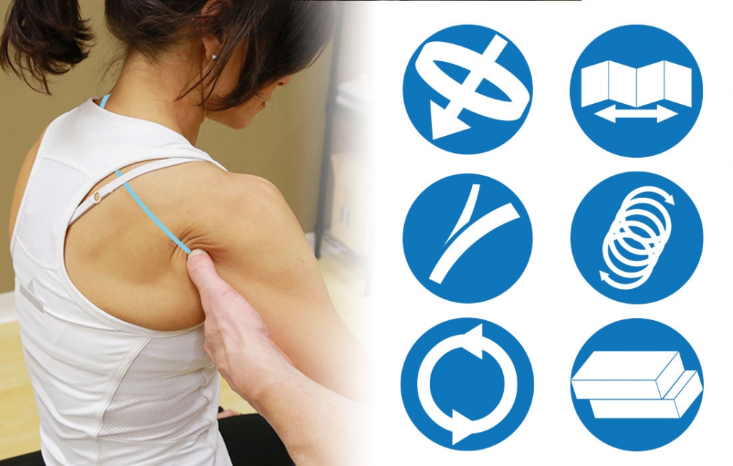 Online Courses | Fascial Distortion Model®