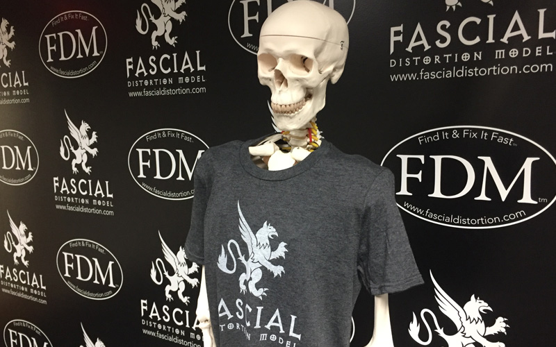 Fascial Distortion Model Neuro Course | Fascial Distortion Model®