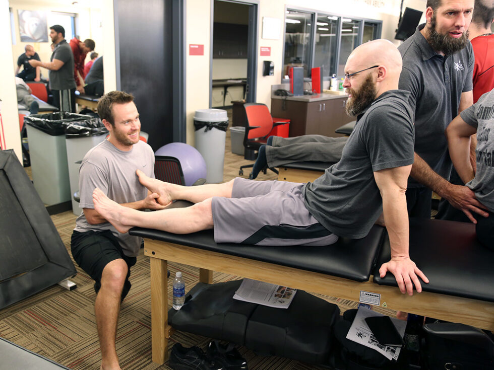 Fascial Distortion Model® | FDM - The Soft Tissue Framework for all ...