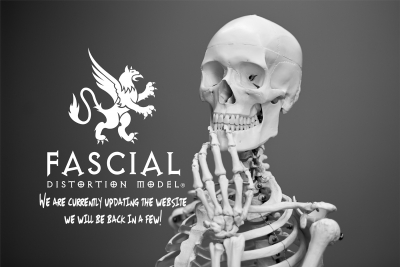Fascial Distortion Model® | FDM - The Soft Tissue Framework for all ...
