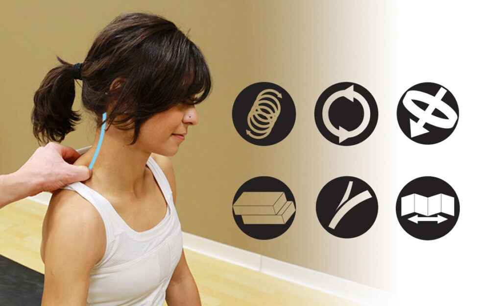 Fascial Distortion Model® | FDM - The Soft Tissue Framework for all ...