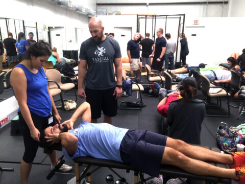 Fascial Distortion Model® | FDM - The Soft Tissue Framework for all ...