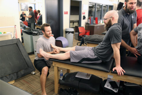 Fascial Distortion Model® | FDM - The Soft Tissue Framework for all ...